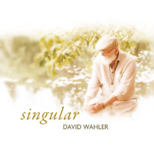 David Wahler | Singular | Album Review - Best New Age CDs